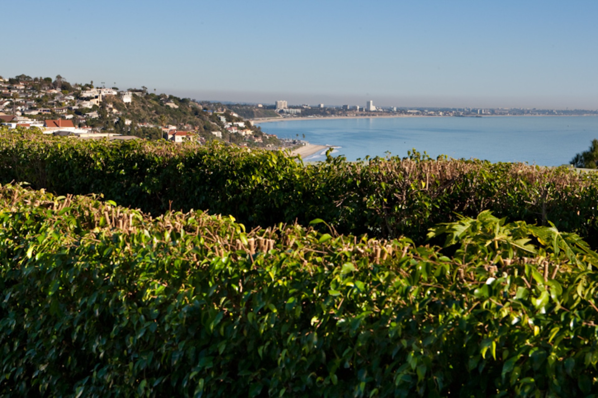 3700 S Malibu Vista Dr Malibu, CA 90265 — James Respondek